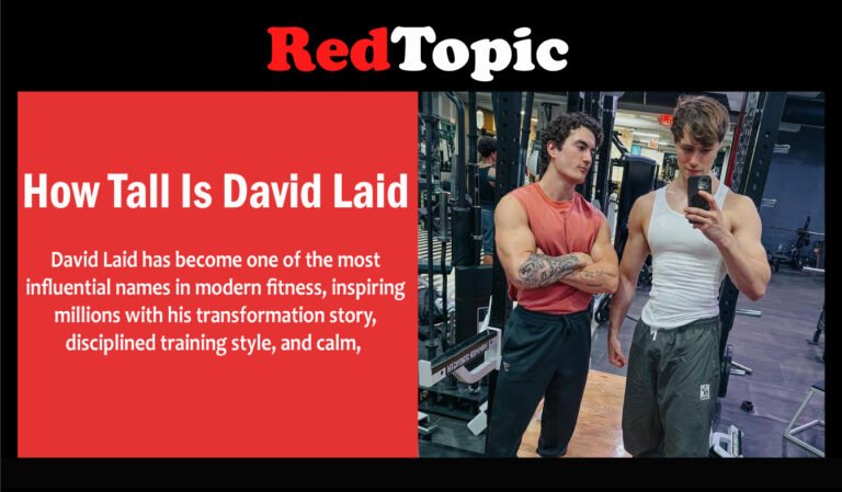 How Tall Is David Laid: His Age and Weight Explained - Red Topic